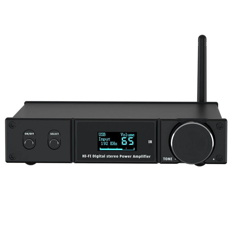 120W HIFI Digital Stereo Power Amplifier