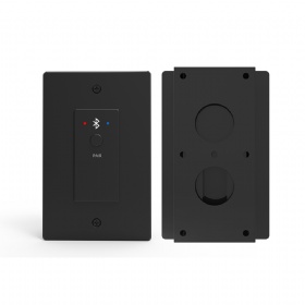 2CH Bluetooth Dante Wall Panel